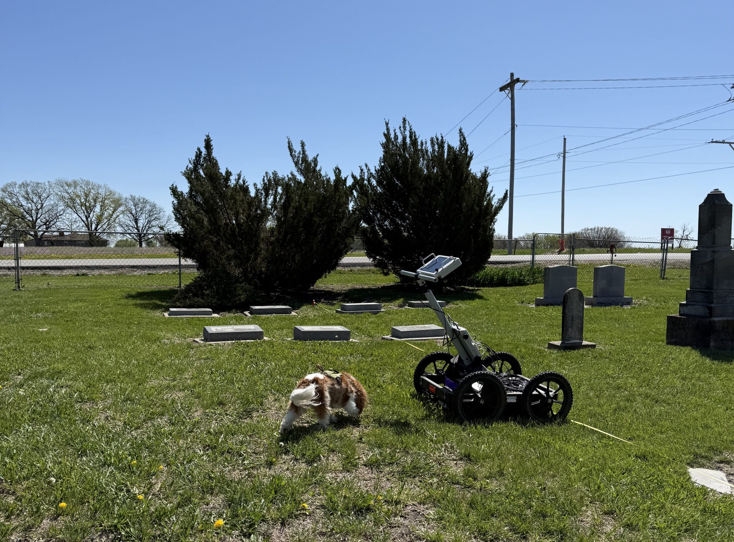 Underground survey at historic Beni Israel Cemetery aims to reveal what ...